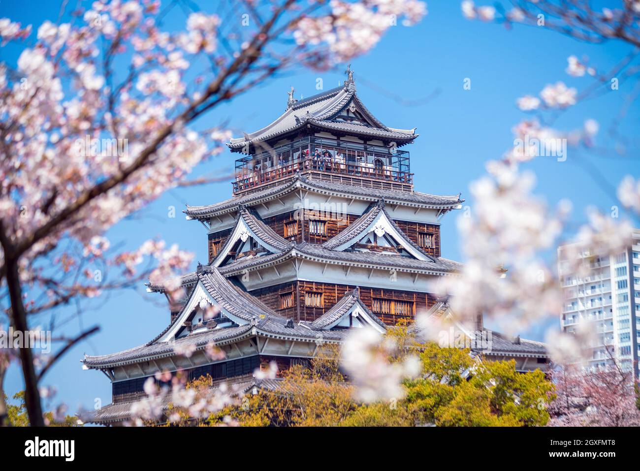 Cherry trees in hiroshima hi-res stock photography and images - Alamy
