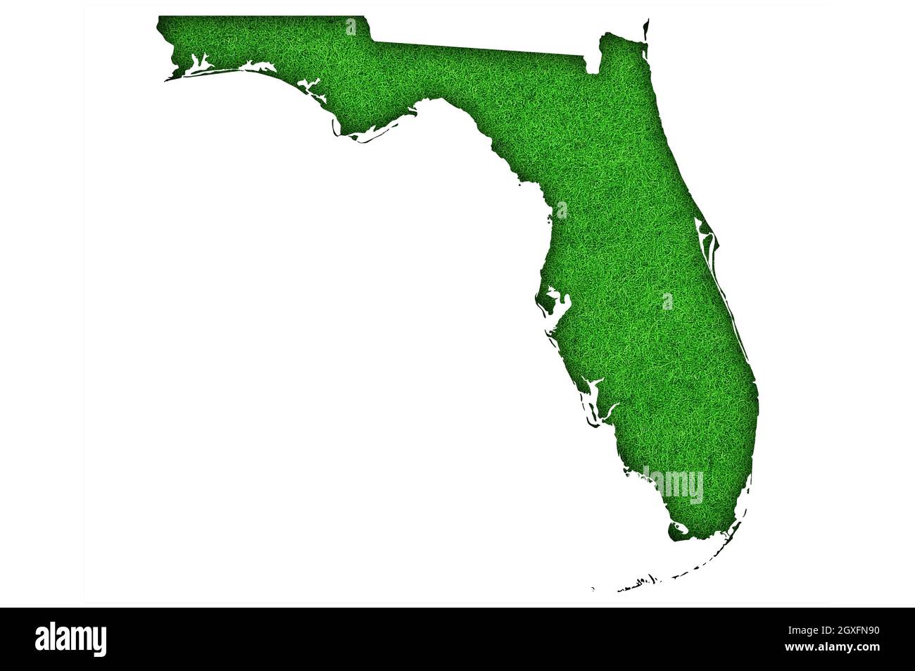 Map of Florida on green felt Stock Photo - Alamy