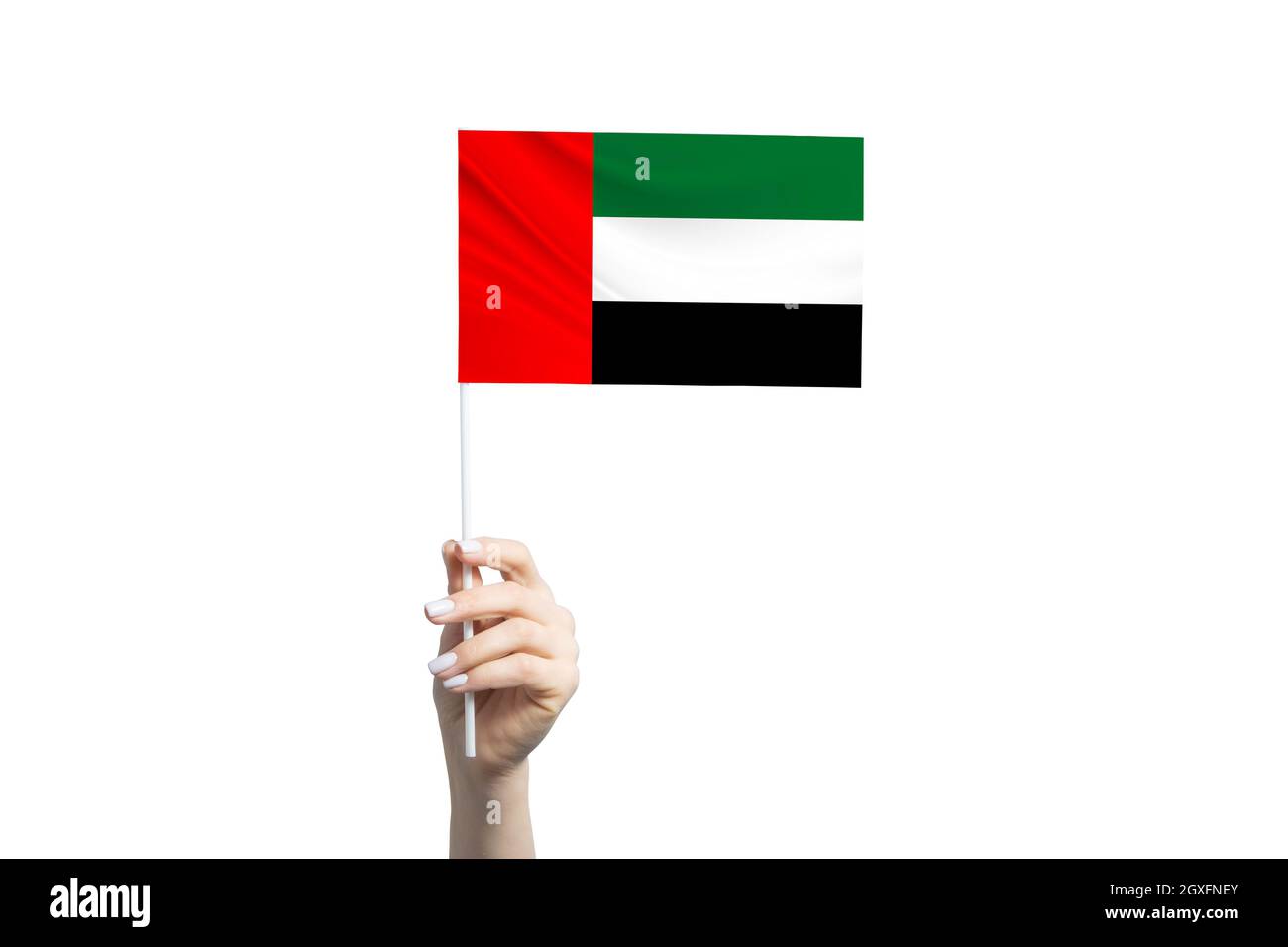 Beautiful Female Hand Holding United Arab Emirates Flag Isolated On