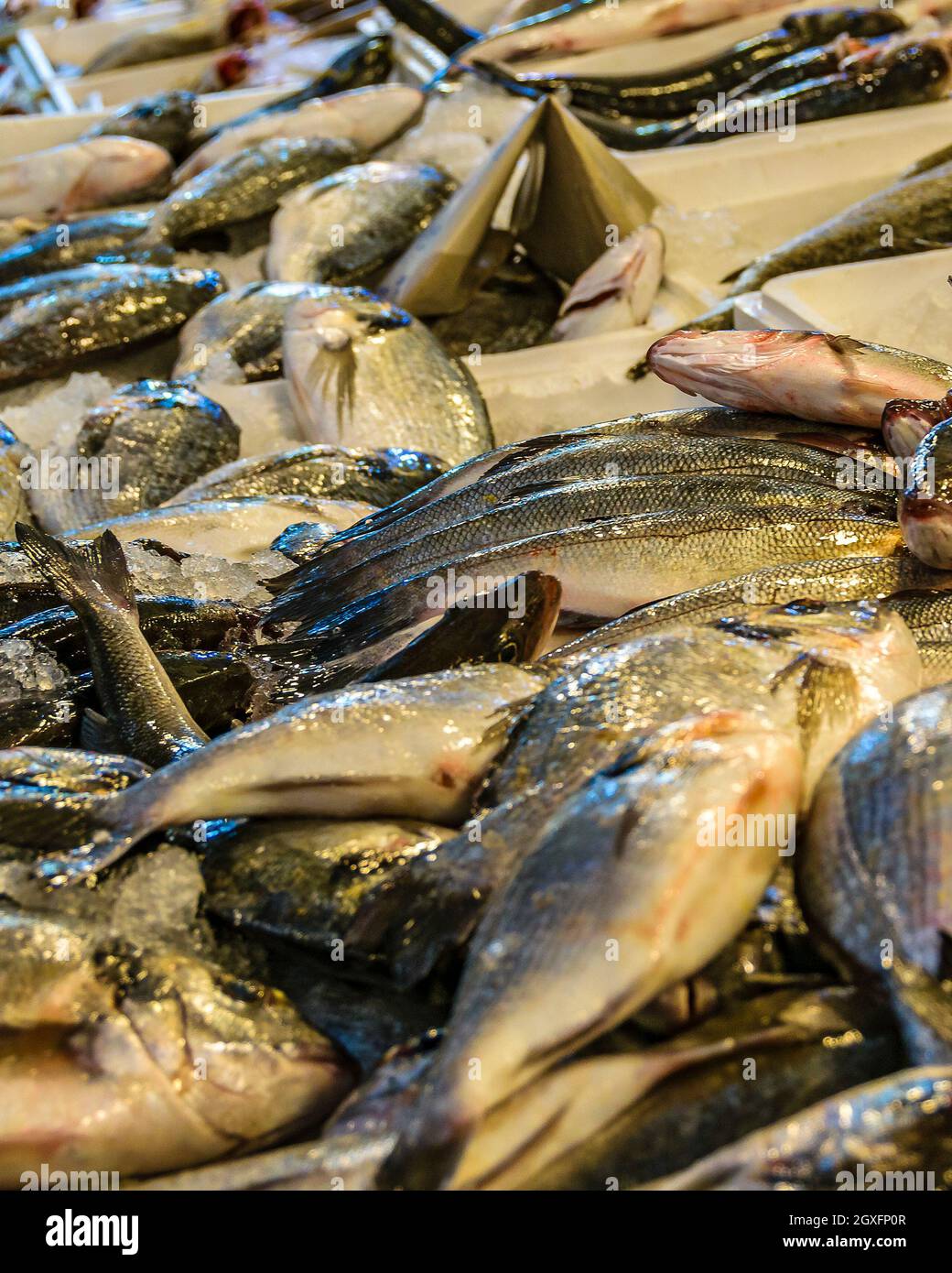 Fish on sale at traditional central market at athens city, greece Stock ...