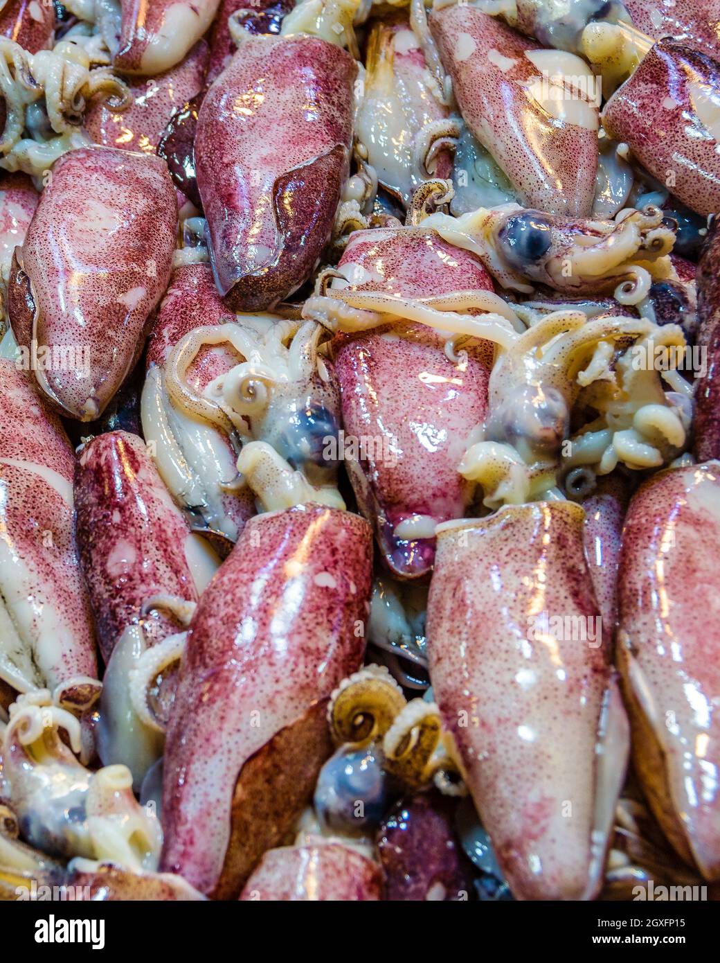 Squids on sale at traditional central market at athens city, greece ...