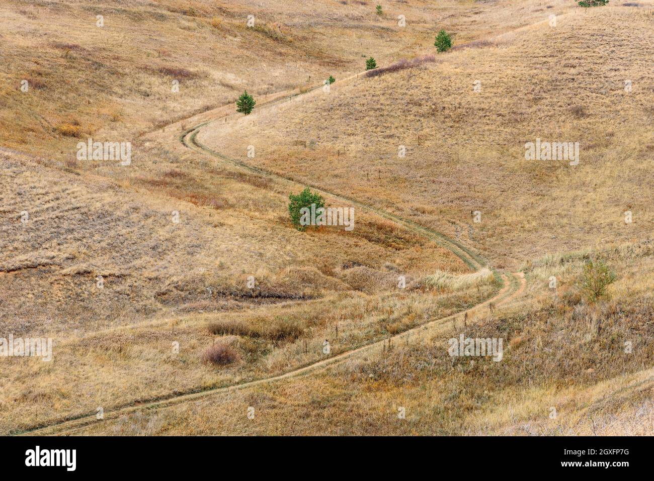 S curve of dirt road on the hillside Stock Photo - Alamy