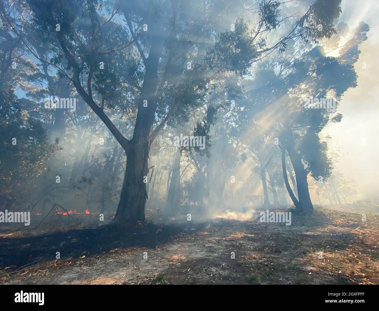 Smoke with sunlight from a bushfire in Australia Stock Photo - Alamy