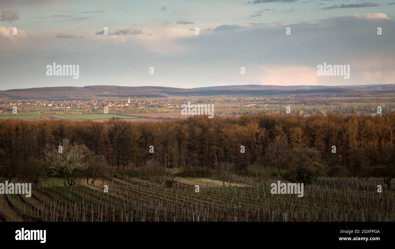 Leitha mountains hi-res stock photography and images - Alamy