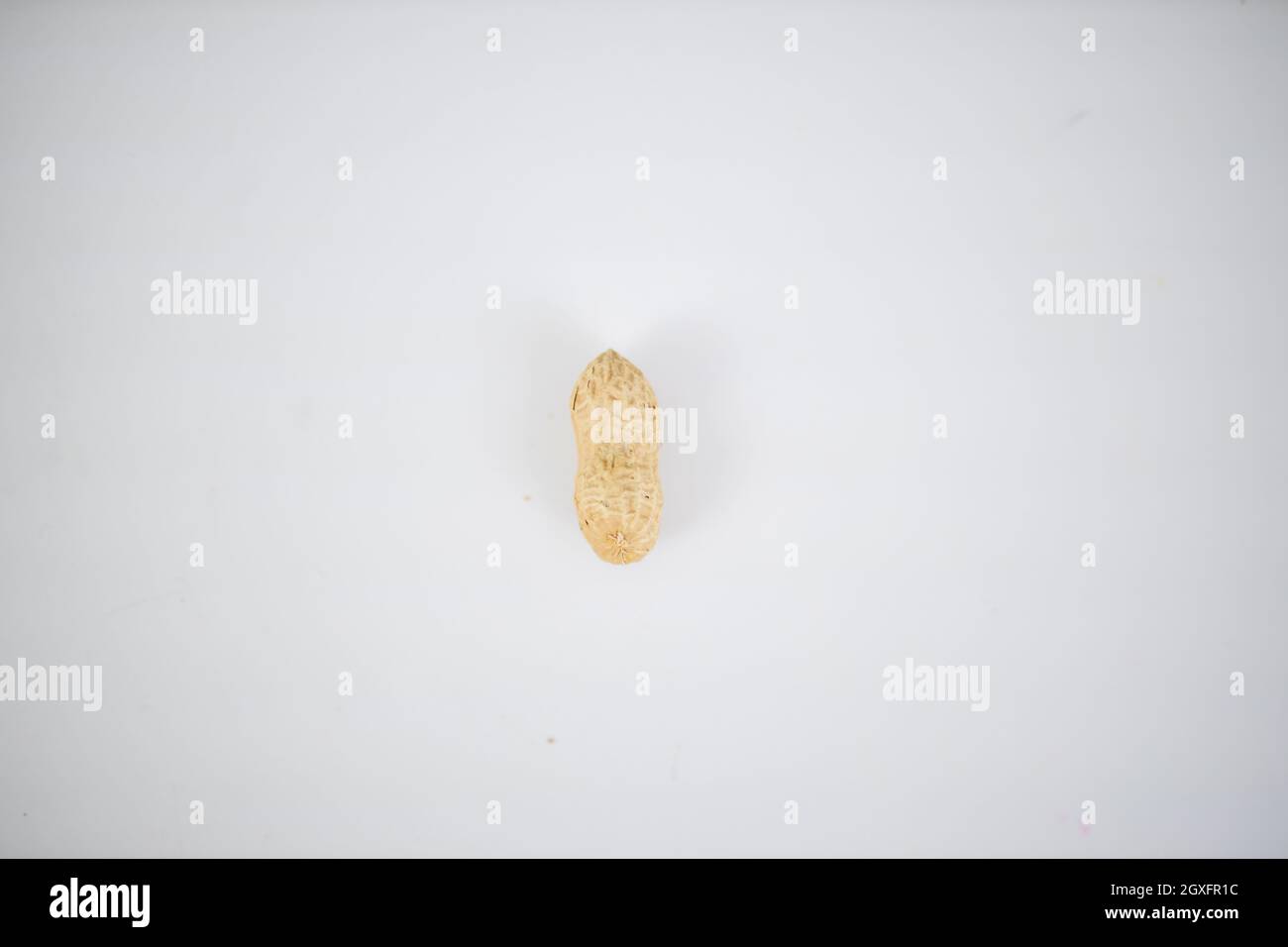 One peanut in shell isolated on white table from above. Above view of ...
