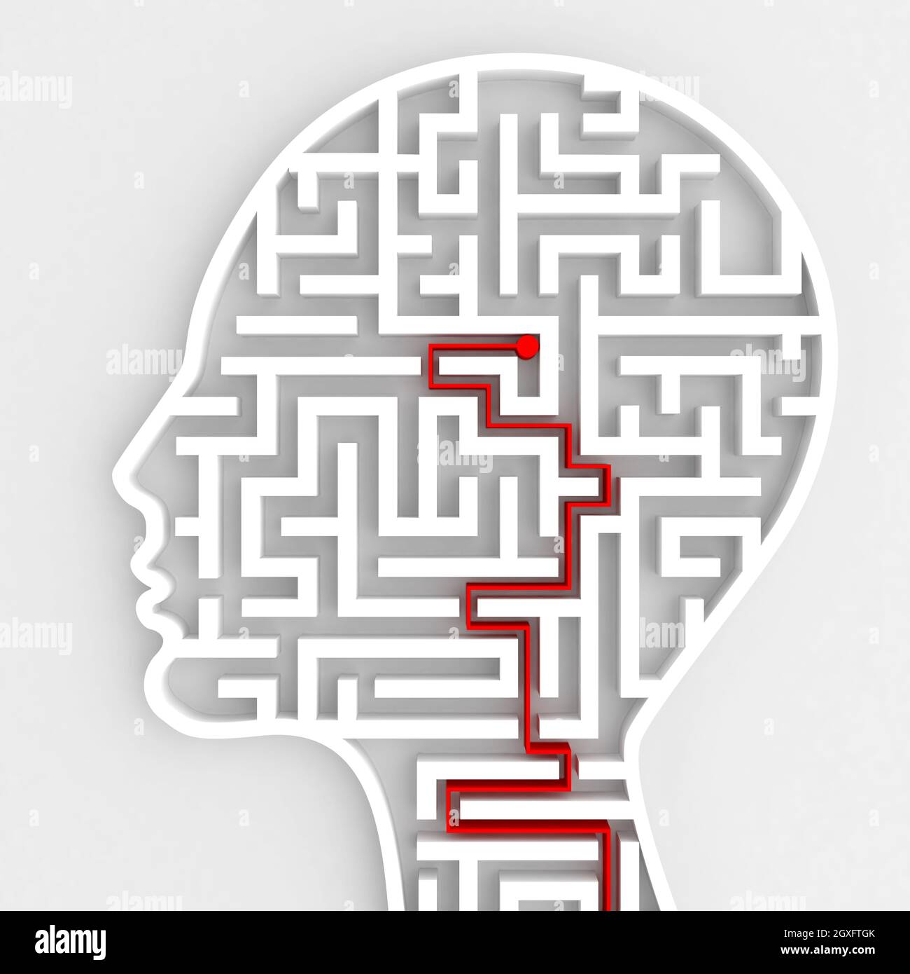 3D Rendering of connection of brain input with maze in the head Stock ...