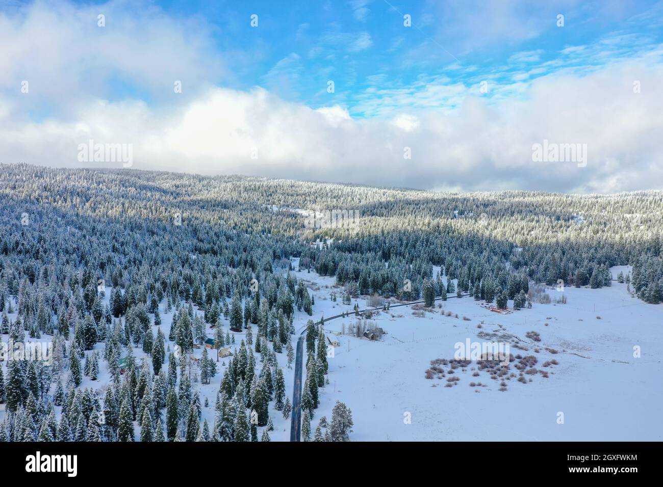 Peaceful snowy forest under slightly cloudy blue sky with mountains as ...