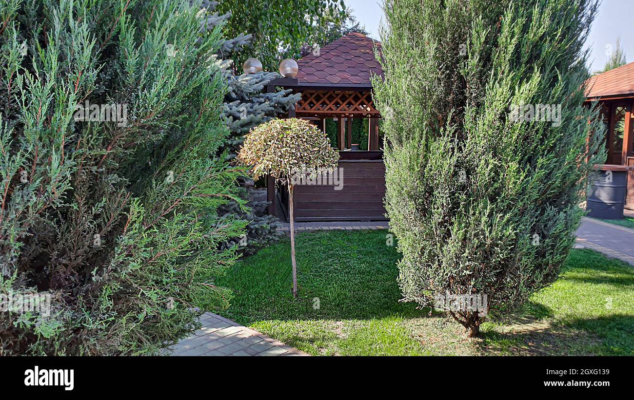 Nature and country design. Pruning trees, preparing nature for winter ...