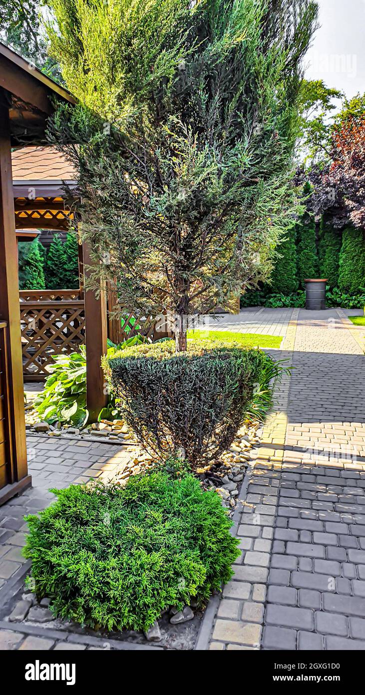 Nature and country design. Pruning trees, preparing nature for winter ...