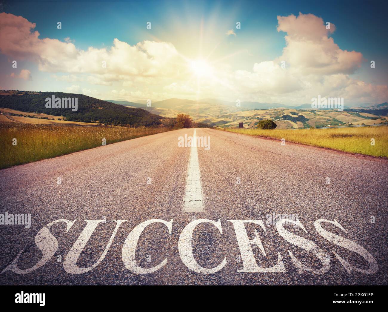 Road that says success in the asphalt Stock Photo - Alamy
