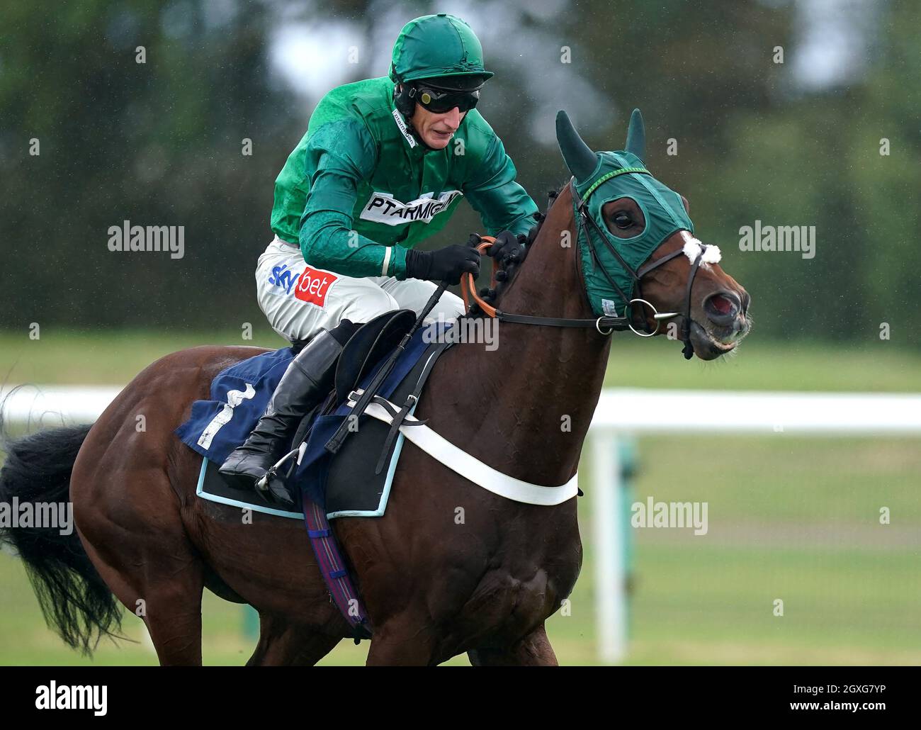 Impulsive one racecourse hi-res stock photography and images - Alamy
