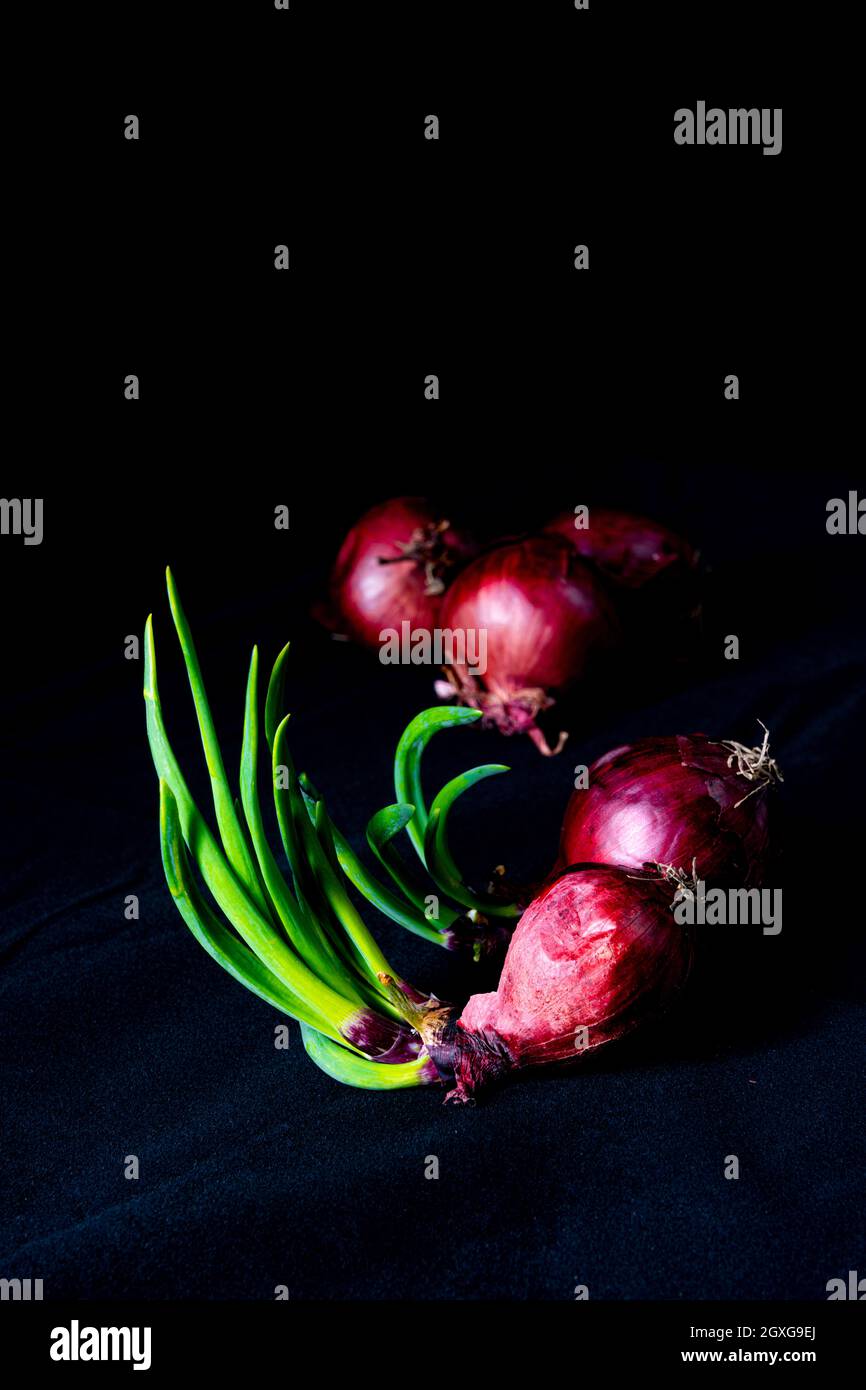 Onions with stems hi-res stock photography and images - Alamy