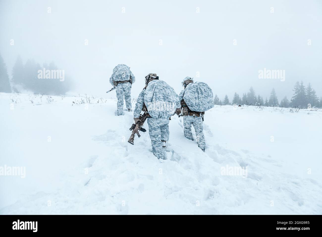 Winter arctic mountains warfare. Action in cold conditions. Squad of ...