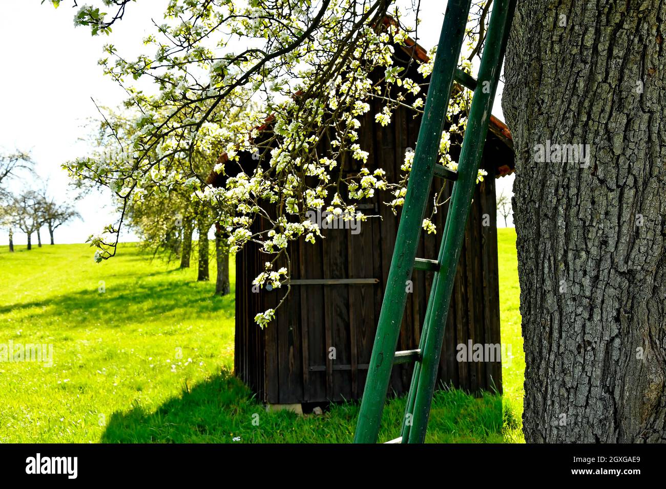 The old apple barn hi-res stock photography and images - Alamy