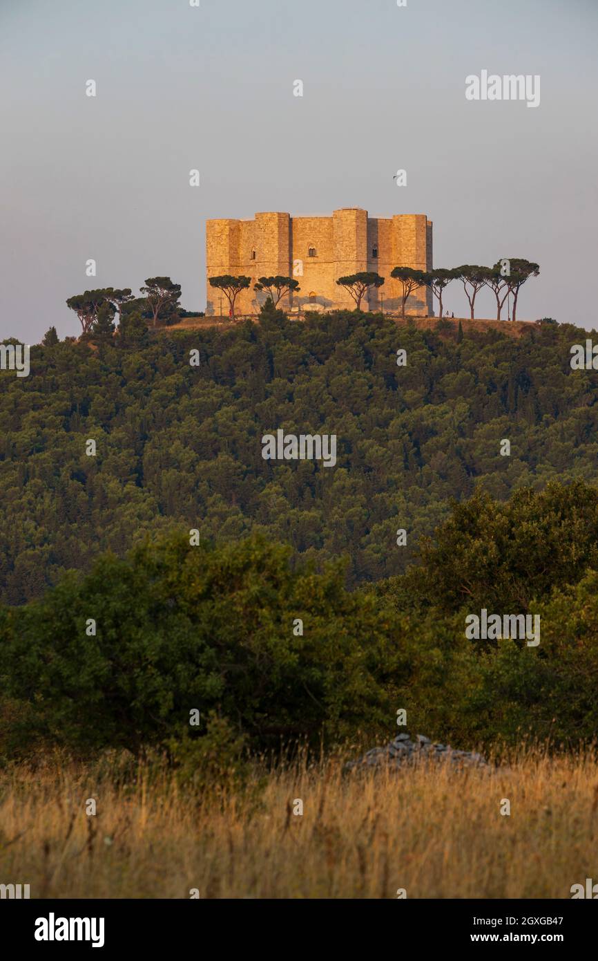 Castel del Monte, castle built in an octagonal shape by the Holy Roman ...