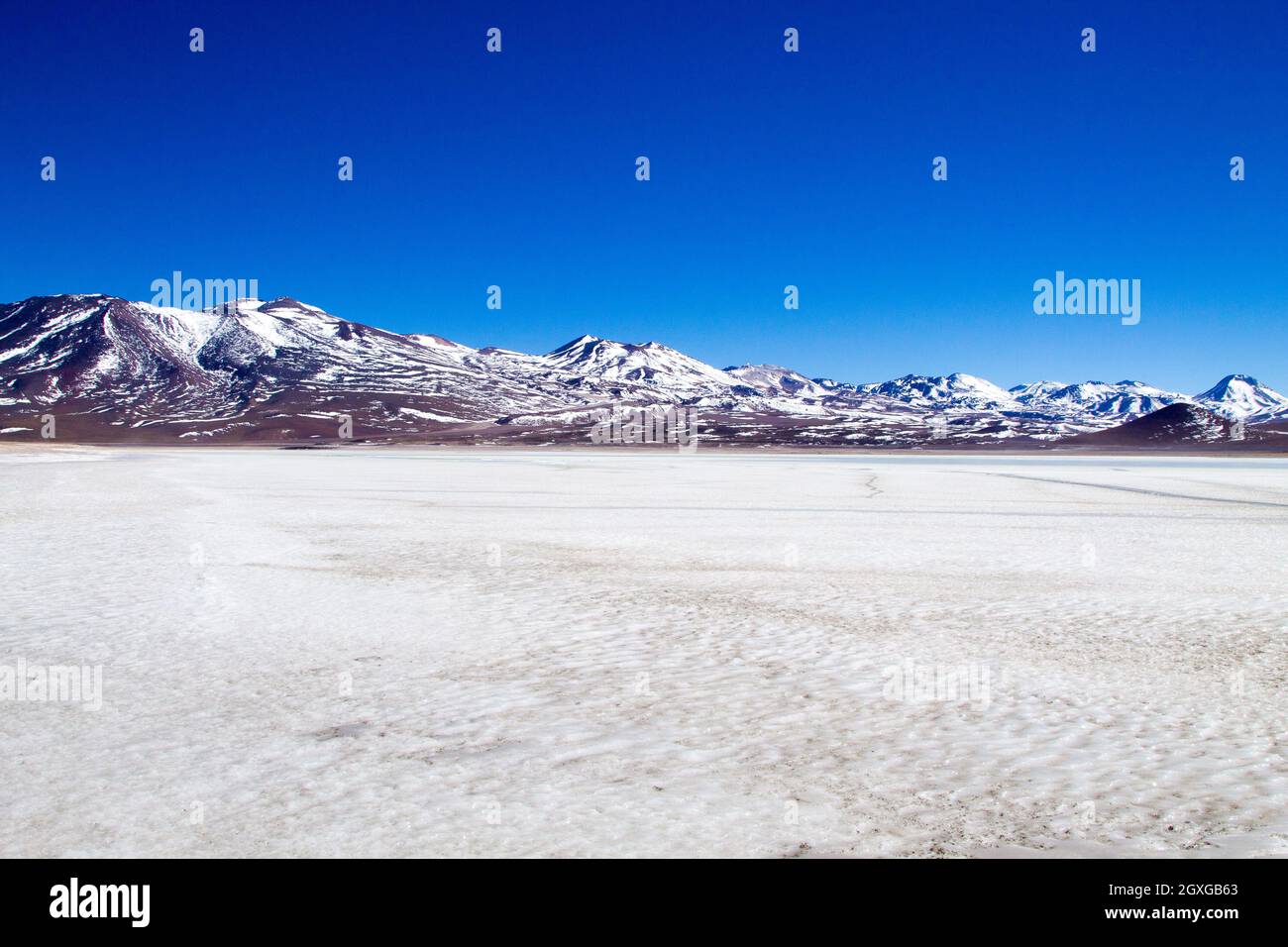 Laguna Blanca landscape,Bolivia. Beautiful bolivian panorama.White ...