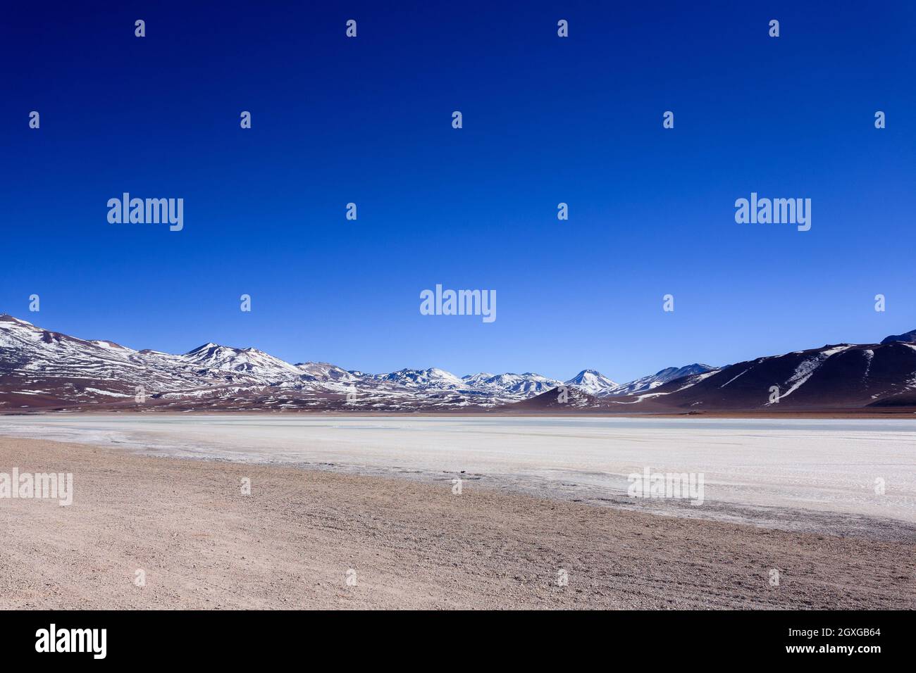 Laguna Blanca landscape,Bolivia. Beautiful bolivian panorama.White ...