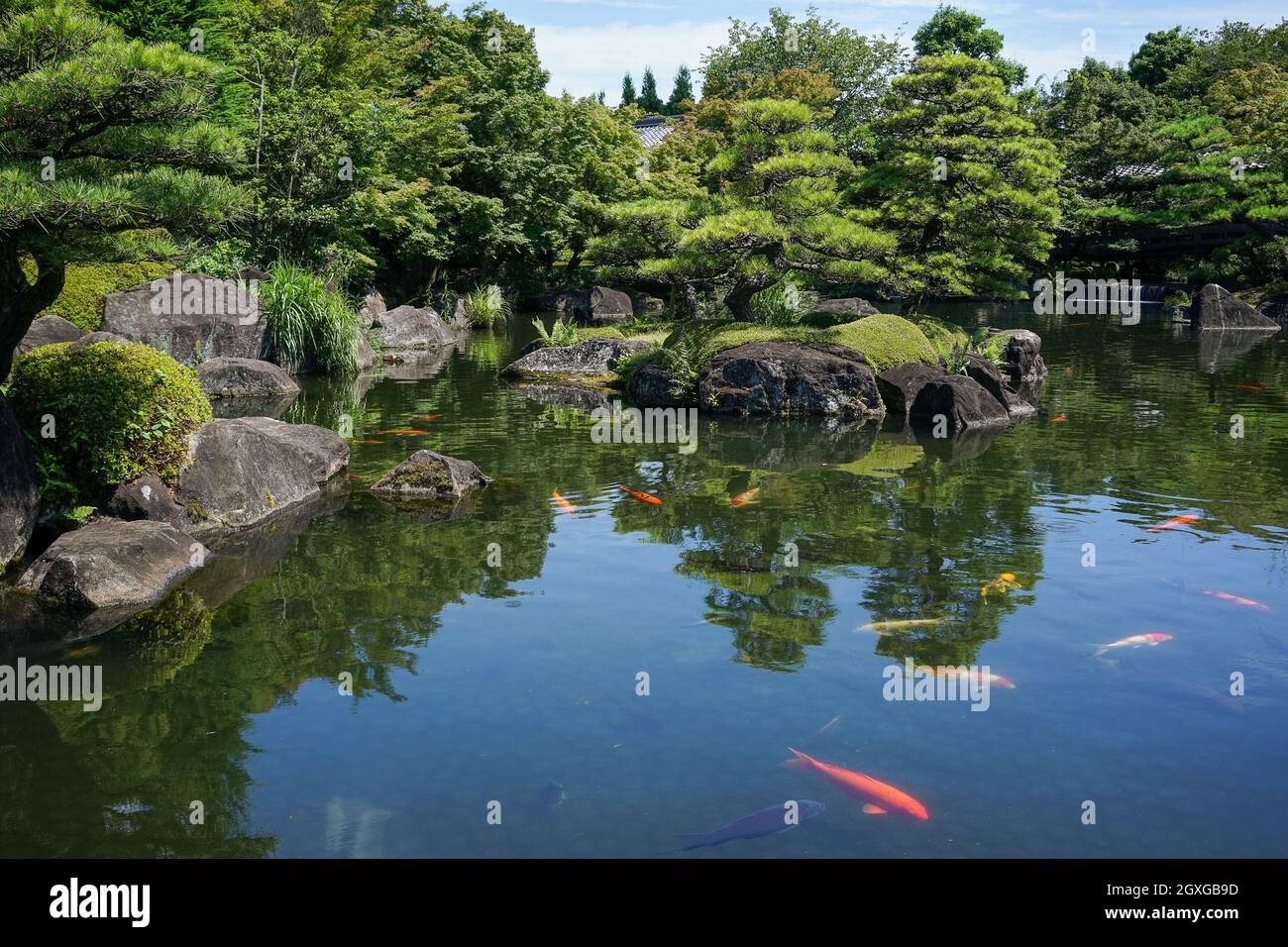Green garden with bonsai trees and fish pond in Himeji, Japan Stock ...