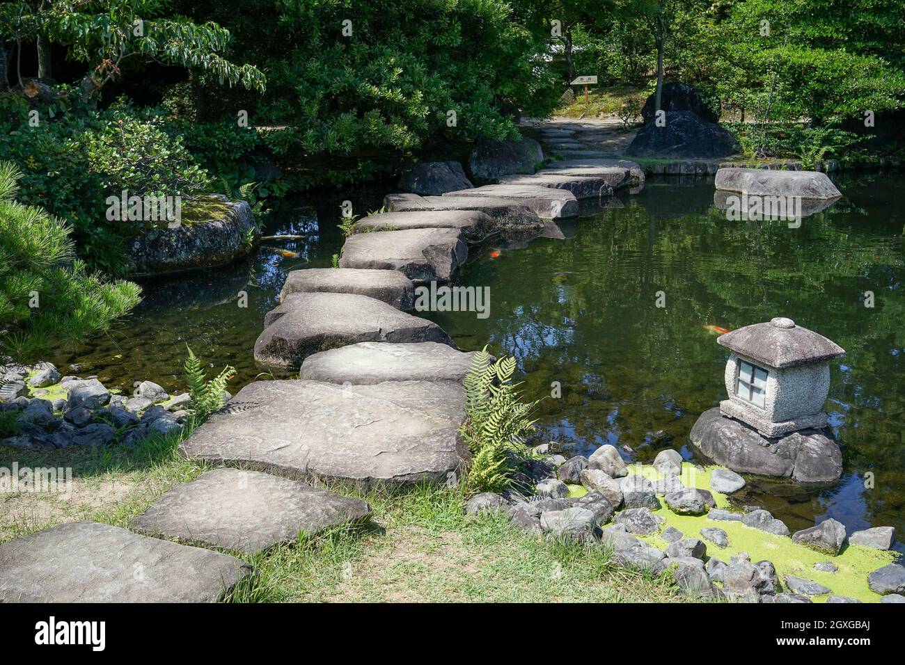 Green garden with bonsai trees and fish pond in Himeji, Japan Stock ...
