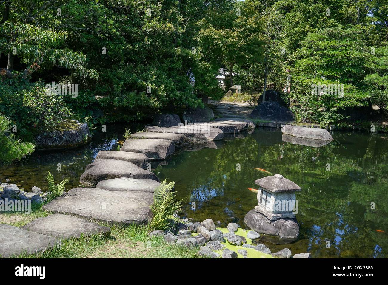 Green garden with bonsai trees and fish pond in Himeji, Japan Stock ...