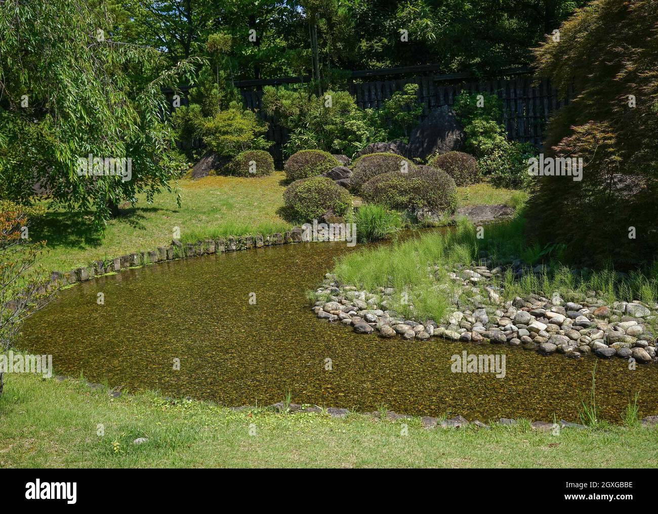Green garden with bonsai trees and fish pond in Himeji, Japan Stock ...