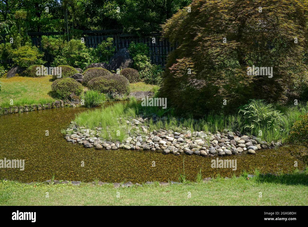 Green garden with bonsai trees and fish pond in Himeji, Japan Stock ...