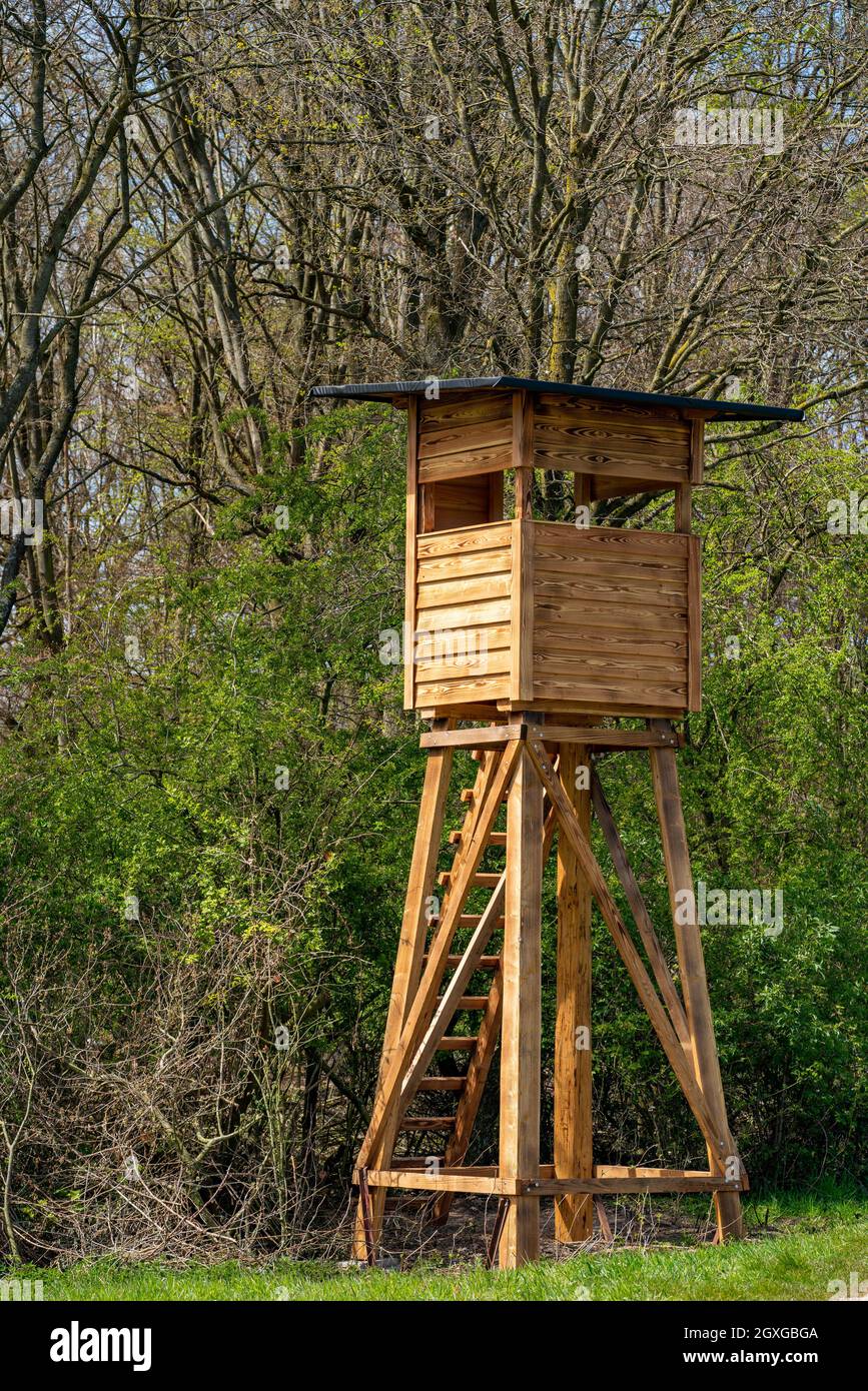Hunter house in forest. Wooden Hunting Lodge Stock Photo - Alamy