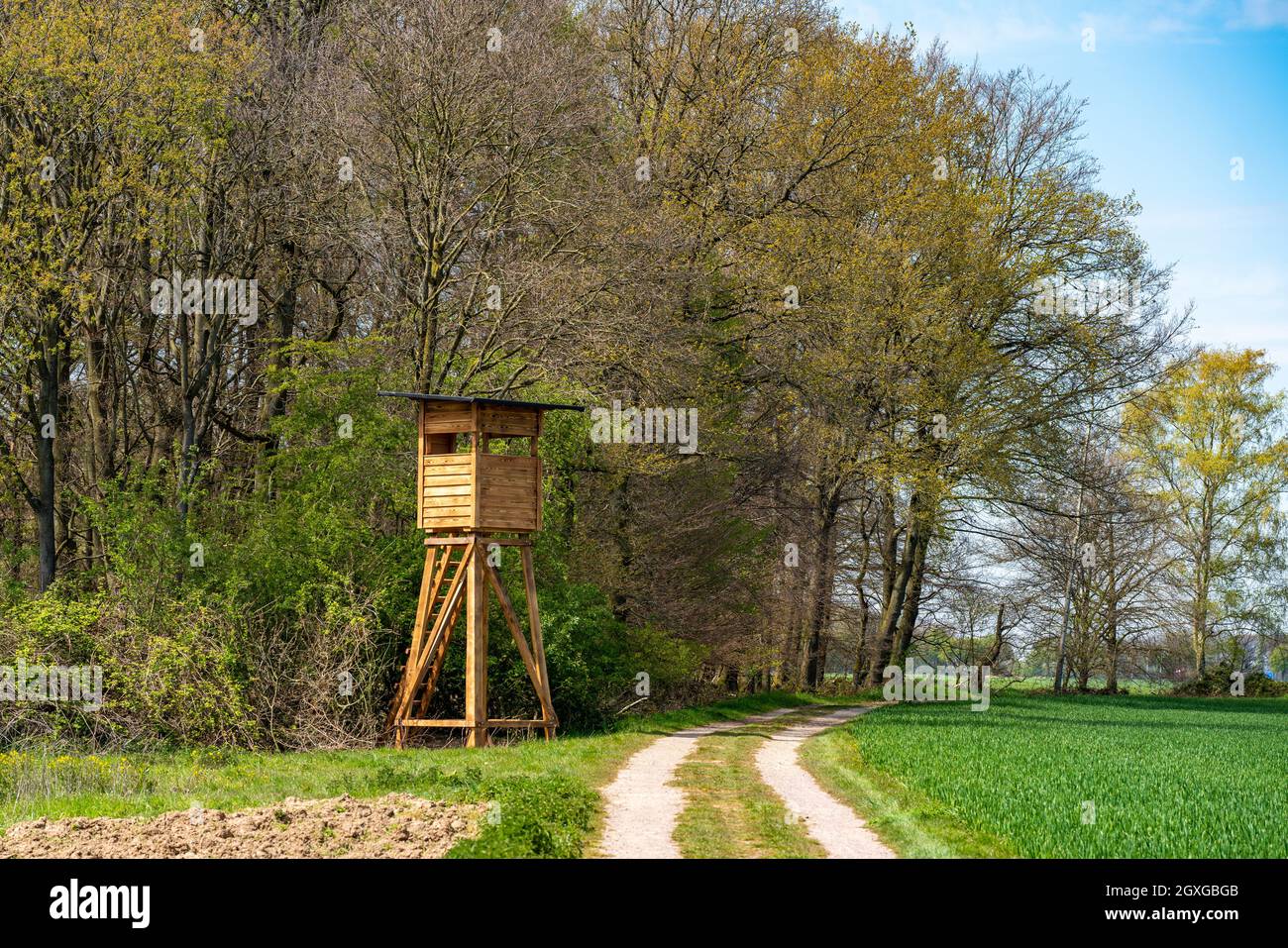 Hunter house in forest. Wooden Hunting Lodge Stock Photo - Alamy