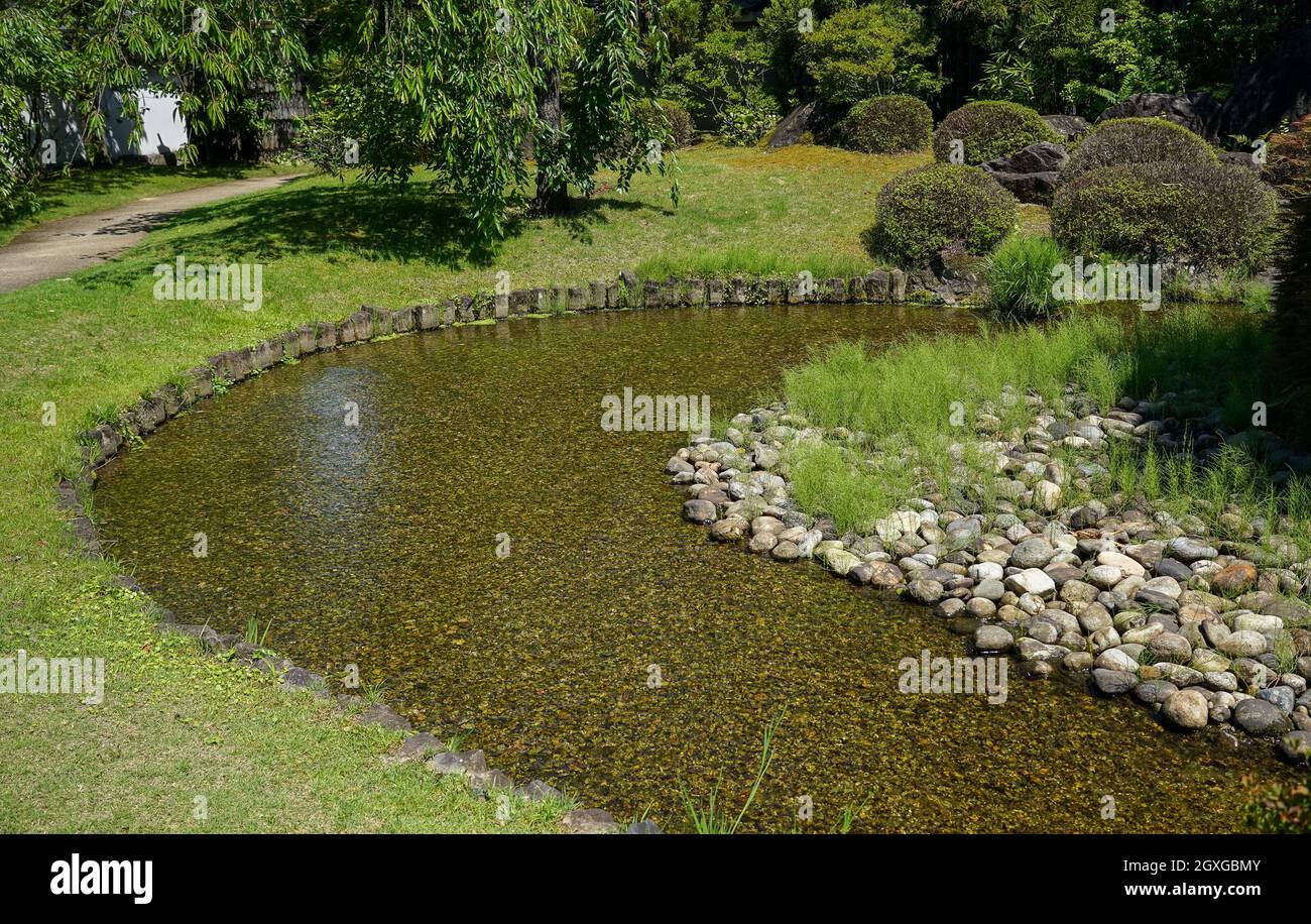 Green garden with bonsai trees and fish pond in Himeji, Japan Stock ...