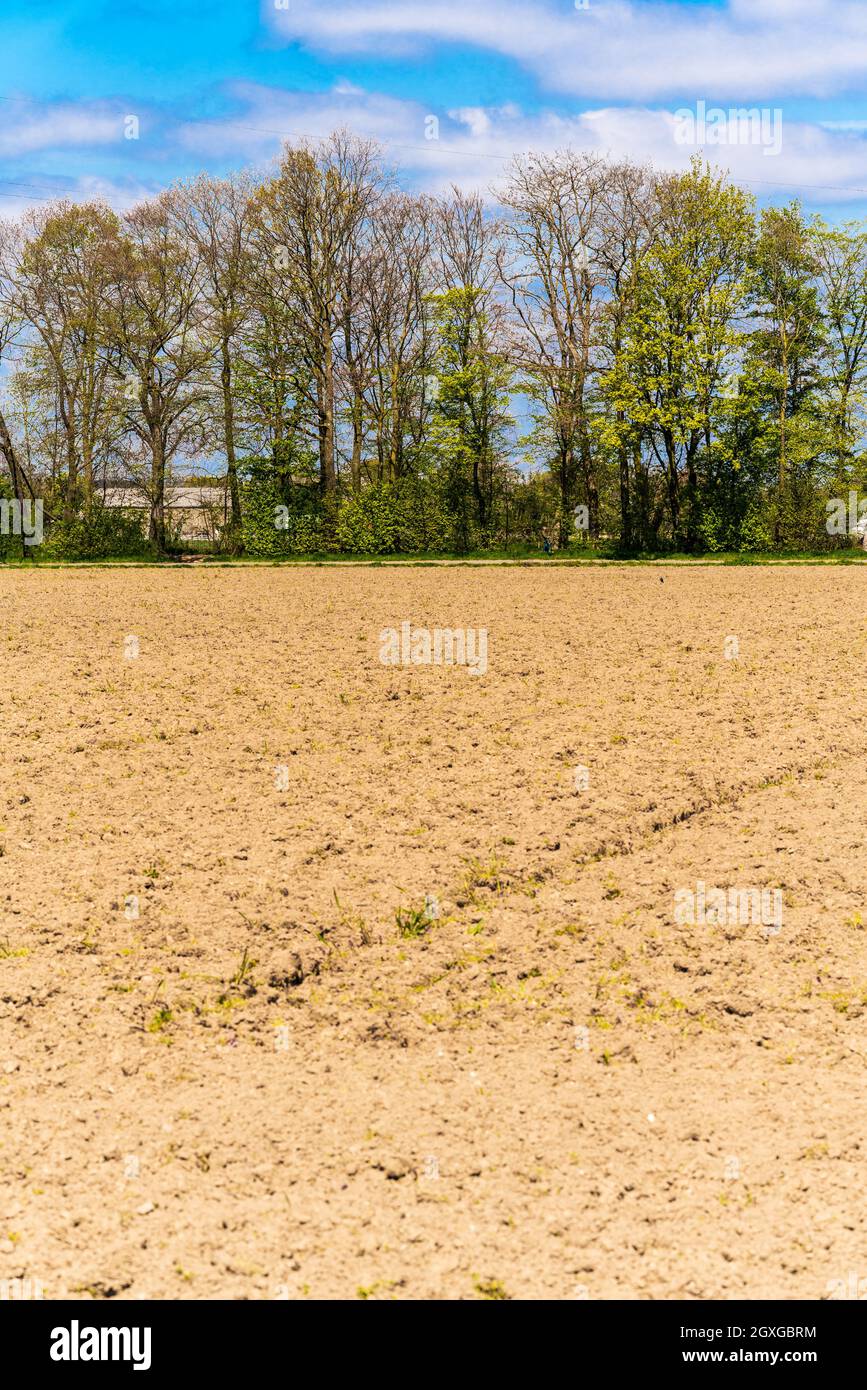 Green farmers field. Rural landscape Stock Photo - Alamy