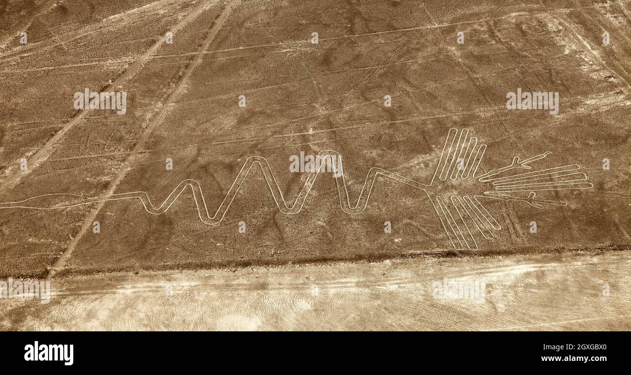 flamingo geoglyph, Nazca mysterious lines and geoglyphs aerial view ...