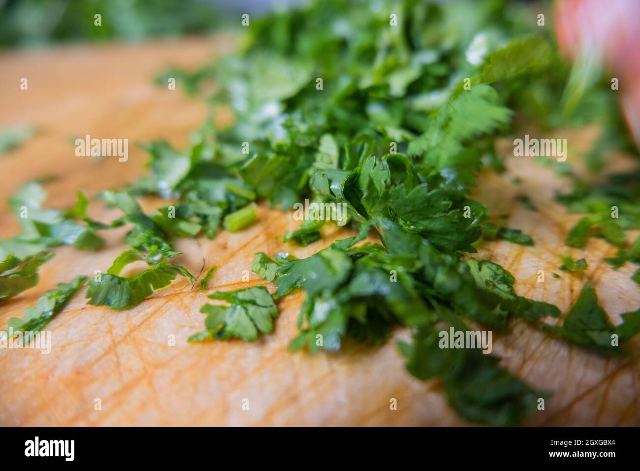 Close-up of freshly chopped coriander on wooden cutting board with ...
