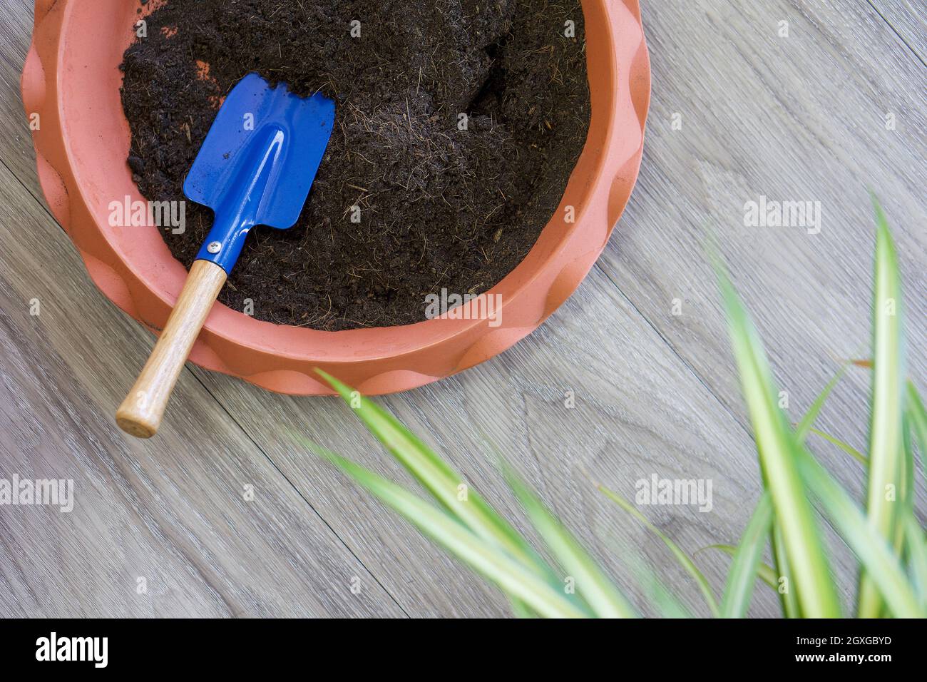 Blue gardening shovel in pot planters with soil and fertilizer on ...