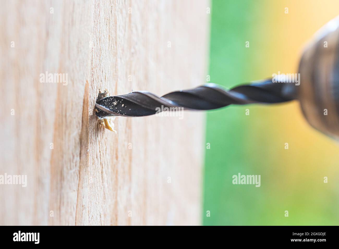 Do it yourself home handyman is using a drill for drilling wood Stock ...