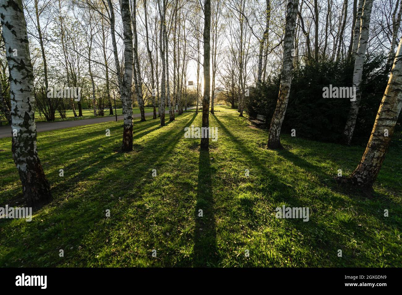 Sun rays in the city hi-res stock photography and images - Alamy