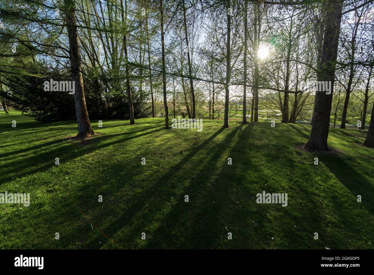 Sun rays in the city hi-res stock photography and images - Alamy