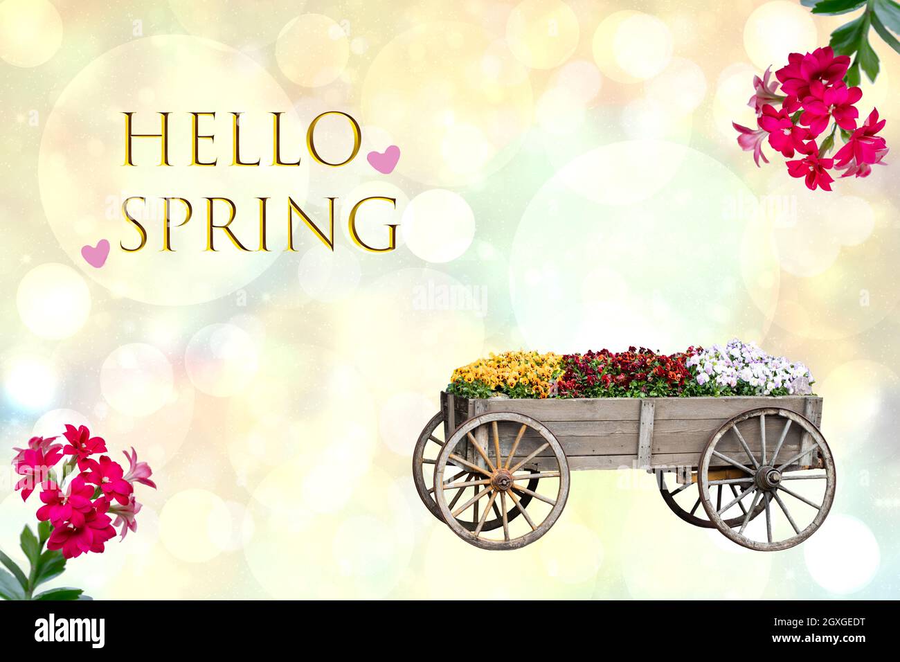 Hello spring card. Happy spring or greeting card design with an old ...