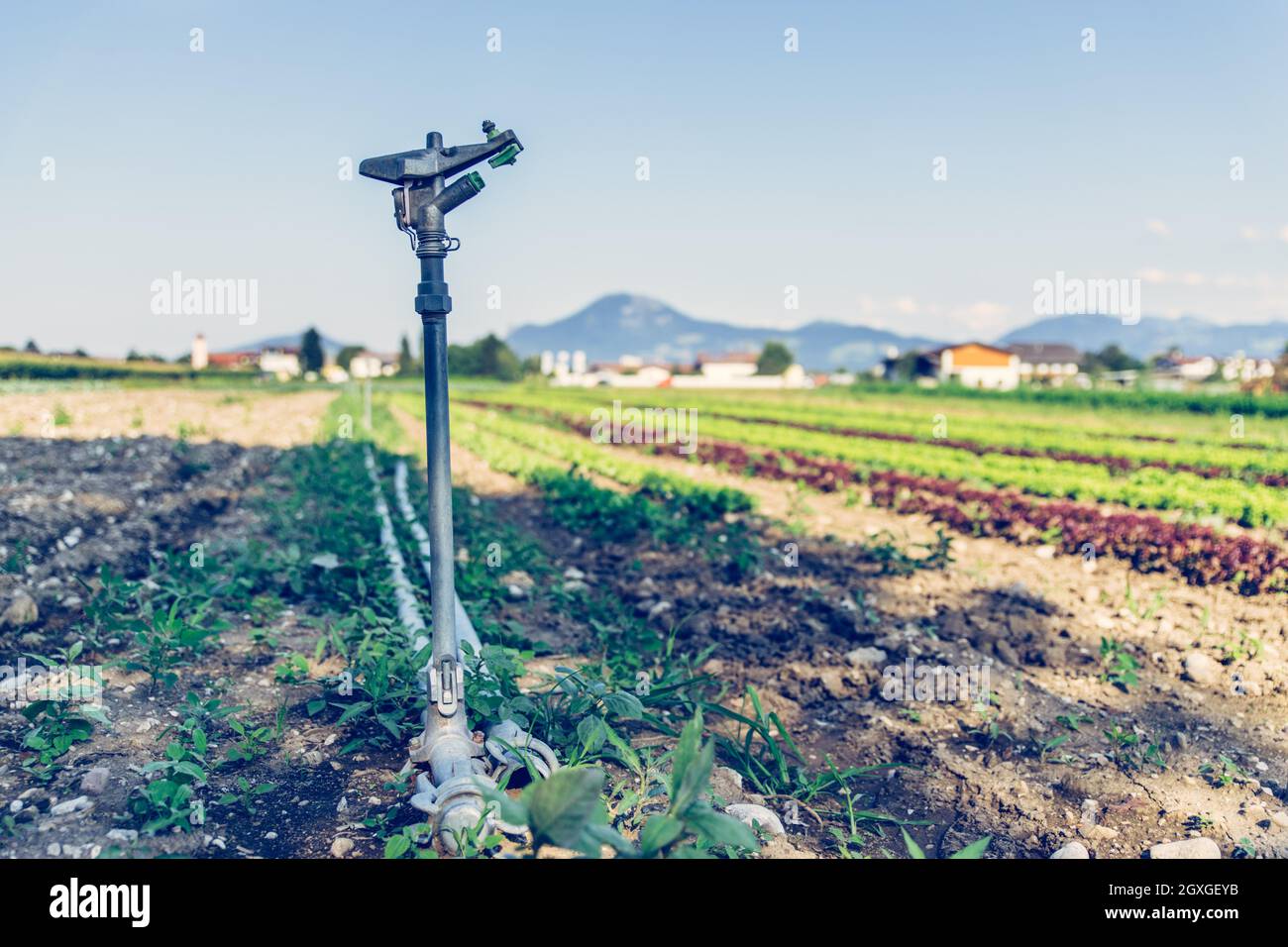 Irrigation plant on an agriculture field, summer day, soil Stock Photo ...