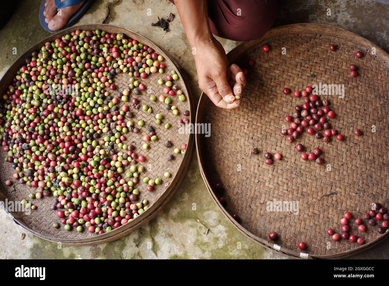 Red bean rotten hi-res stock photography and images - Alamy