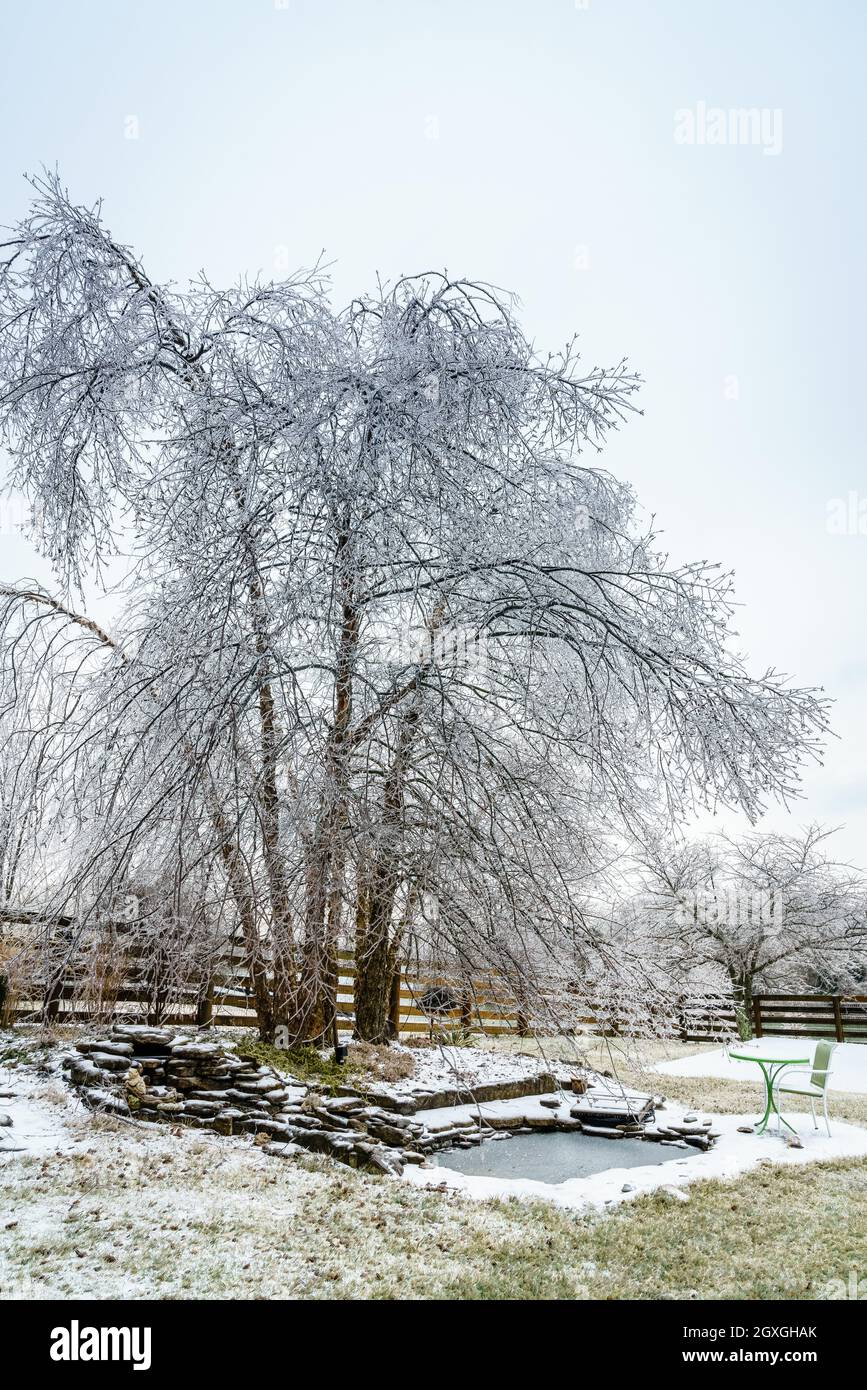 Kentucky Scenery Winter