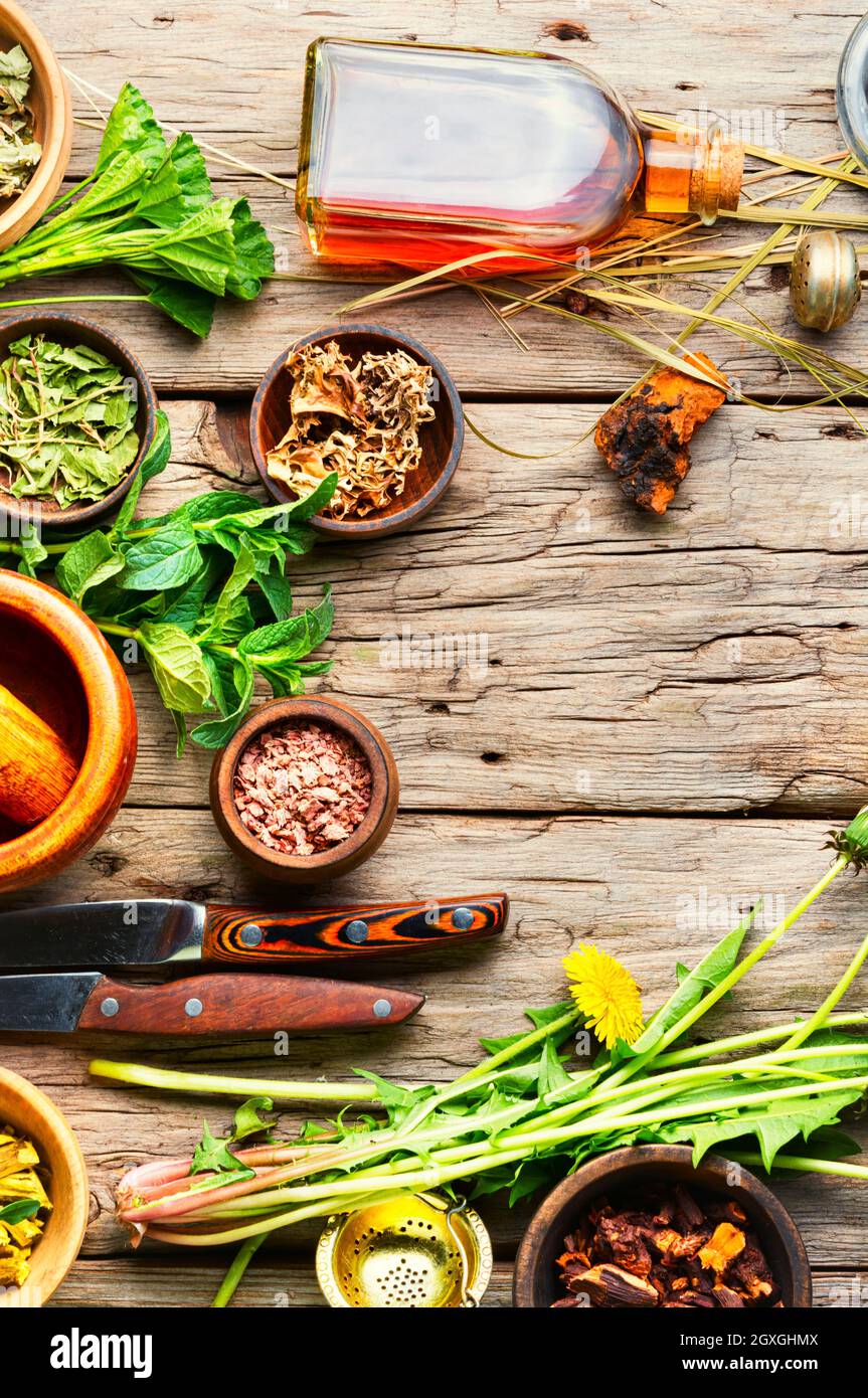 Set of fresh and dry healing herbs and medicinal plants on old wooden ...