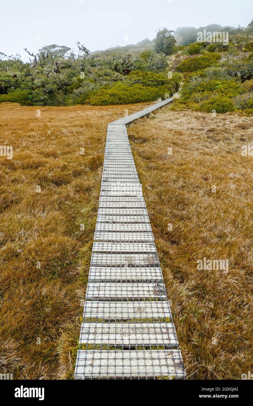 Scenery with walkway around the Key Summit Track at the South Island of ...