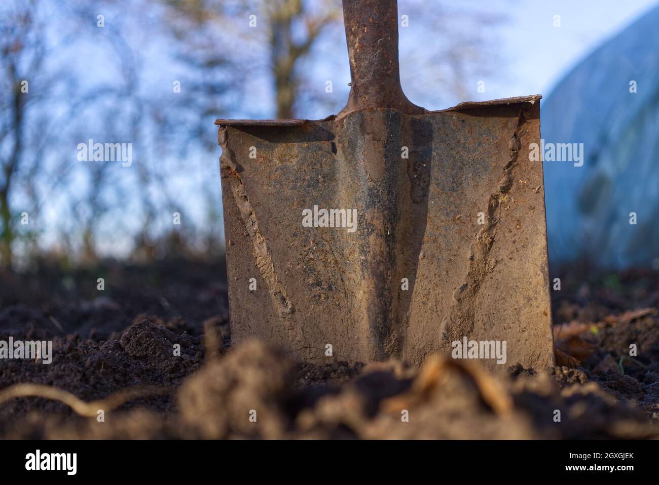 rusty spade stuck to the ground against a background of blue sky and ...