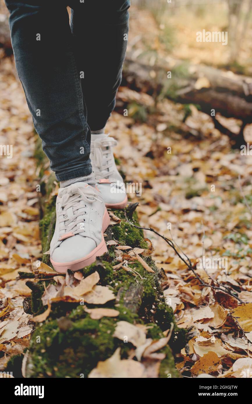 crop view of woman legs walking along the tree trunk. autumn in the ...