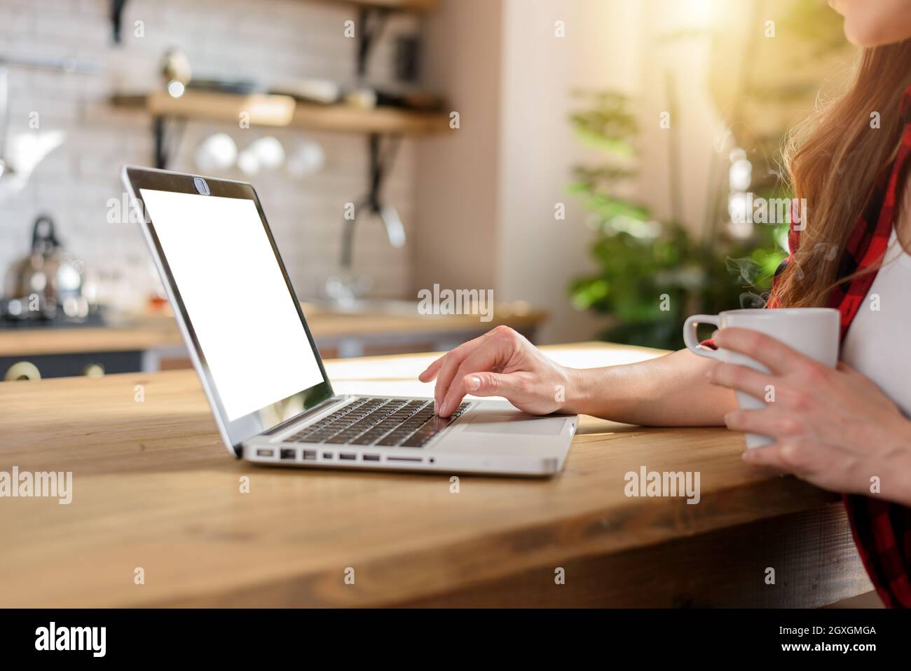 Woman surfs in internet with her laptop. She work at home as smart ...