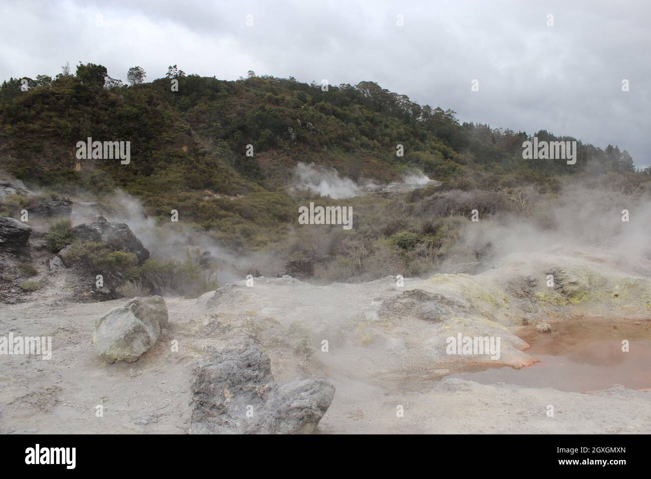 Eruption of the geyser. Pohutu geyser.Rotorua, New Zealand. 18 Oct ...