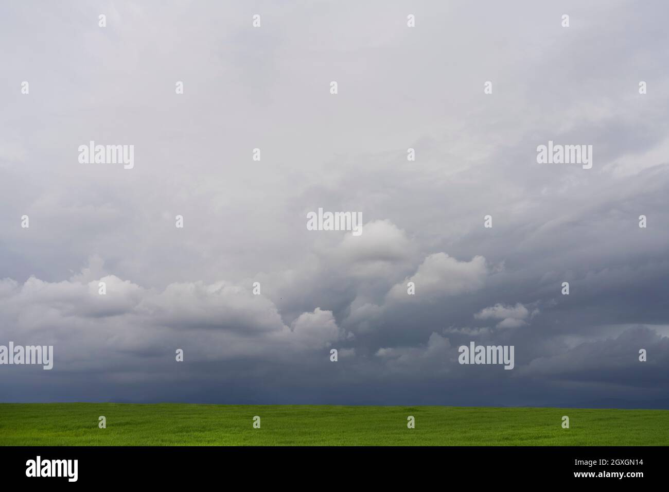 the approaching of a thunderstorm over a field Stock Photo - Alamy