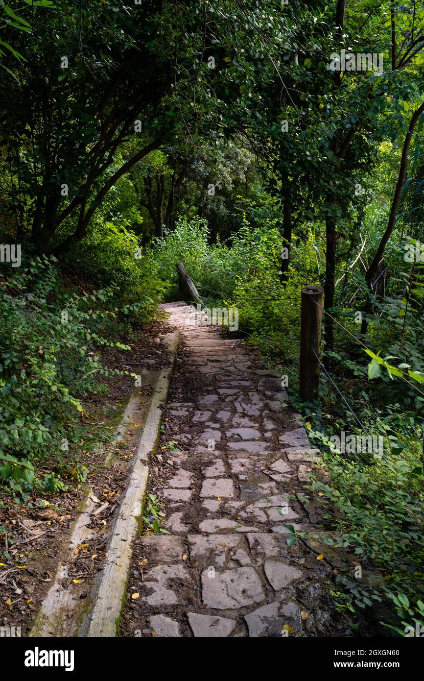 stone path in the middle of the forest with wooden railing, Catalonia ...