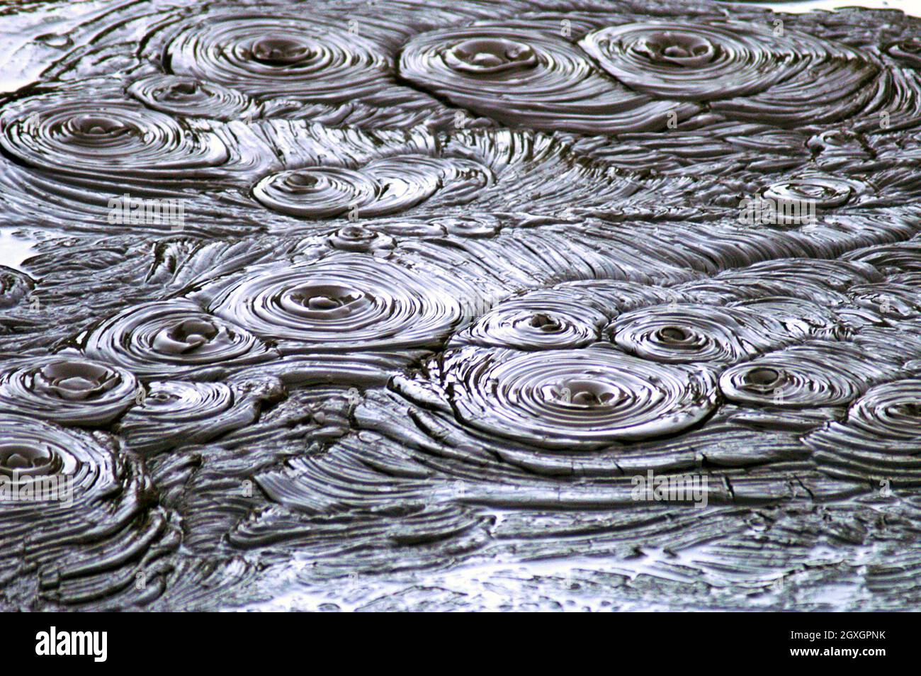 Boiling mud comes to the surface in Rotorua, New Zealand. Mud pots are ...