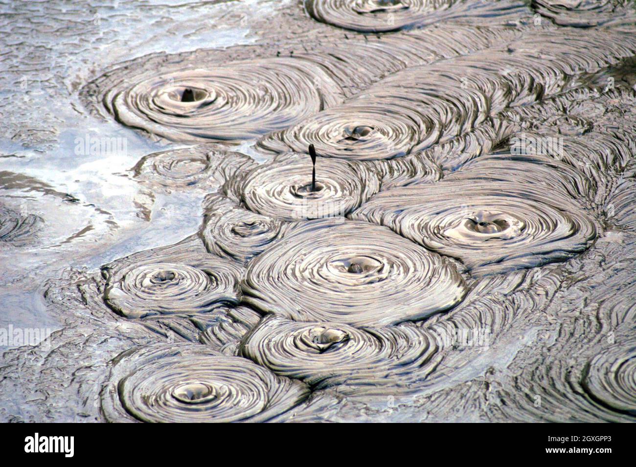 Boiling mud is one of the many geothermal features found in the Taupo ...